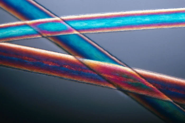 Microscopy — Science & Medical Stock Images | Science Source