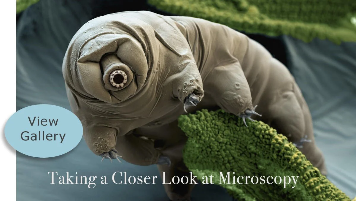 Exploring Microscopy: Ultimate List of Microscope Types With Image ...