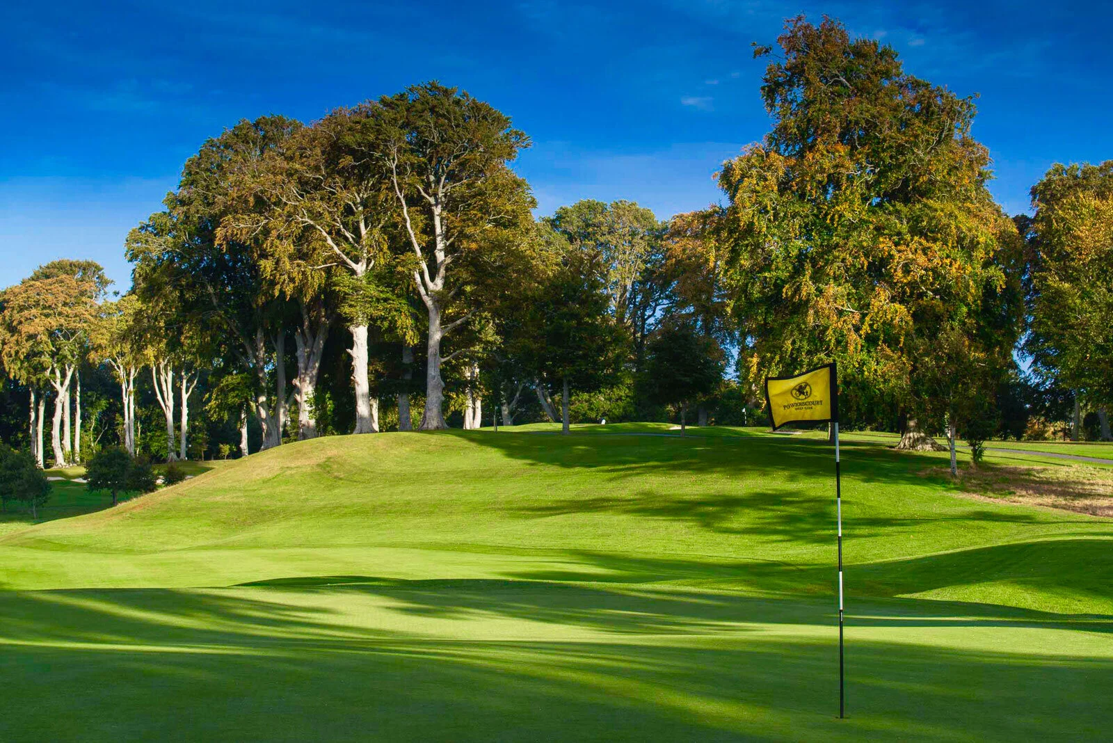 Flogas Champion Of Champions Junior Invitational All Set For Flogas Champion Of Champions Junior Invitational All Set For