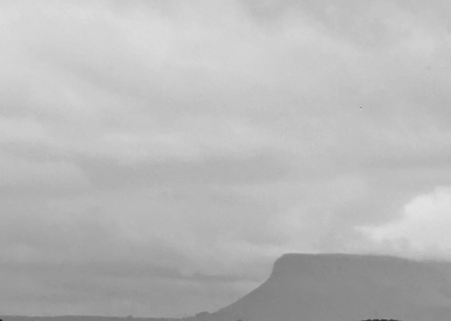 Abernethy tops West of Ireland qualifiers to claim Pat Ruddy Cup at ...