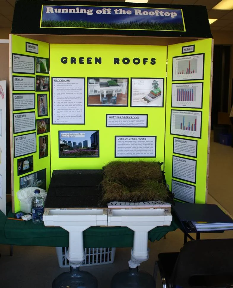 Science Fair Backboard Ideas At Daniel Gilmore Blog Science Fair Backboard Ideas At Daniel Gilmore Blog