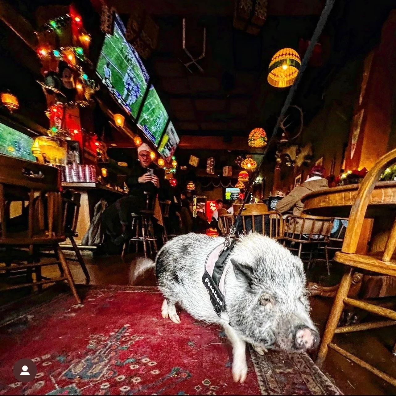 Portland — River Pig Saloon