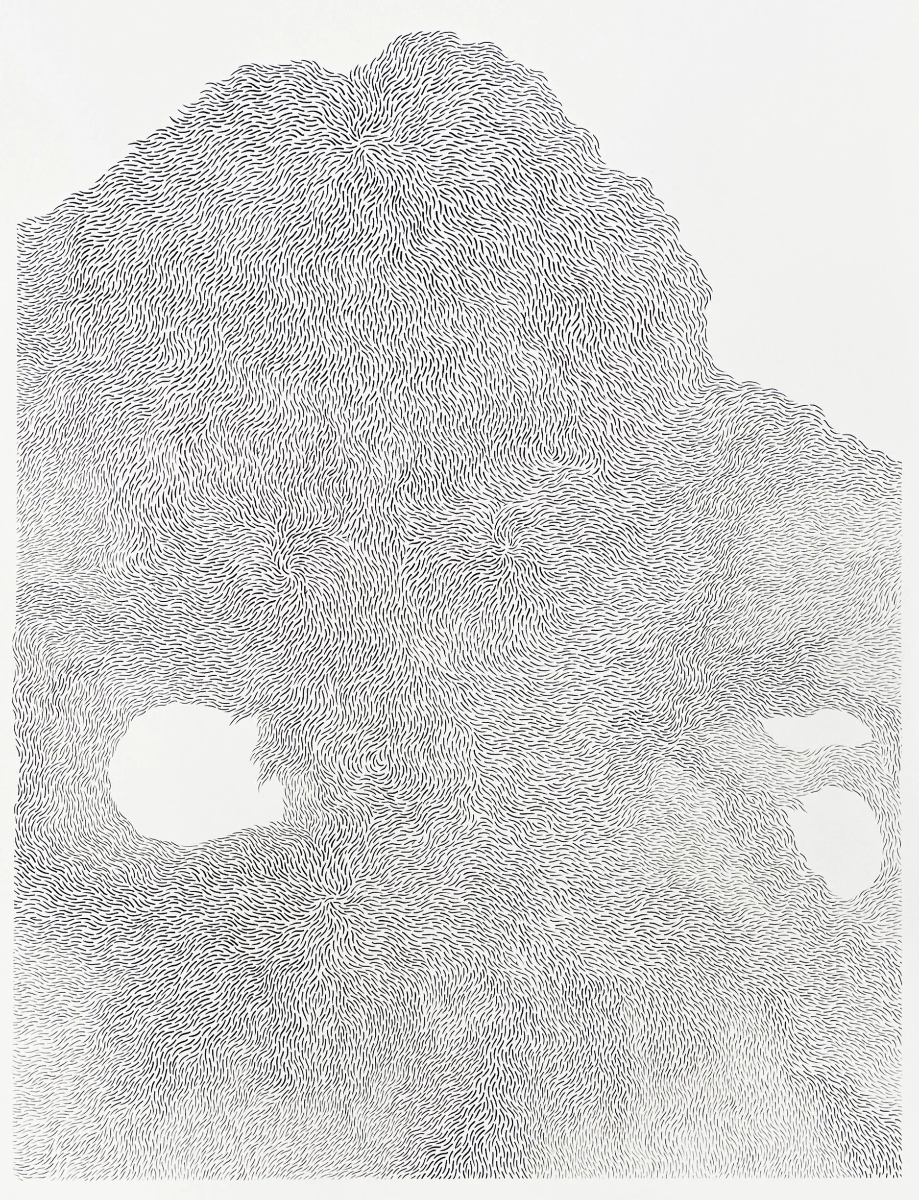 sarah m.n. applebaum