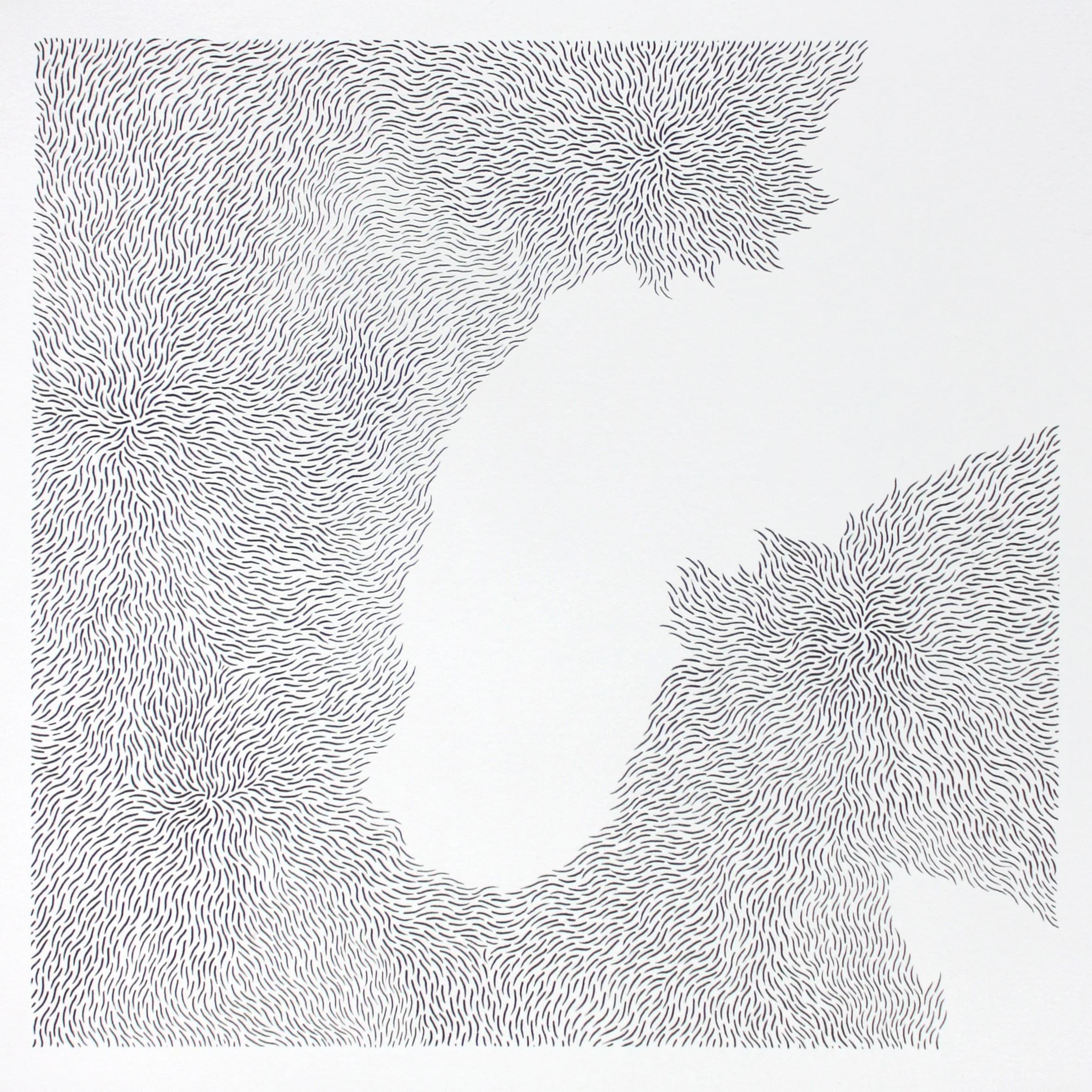 sarah m.n. applebaum