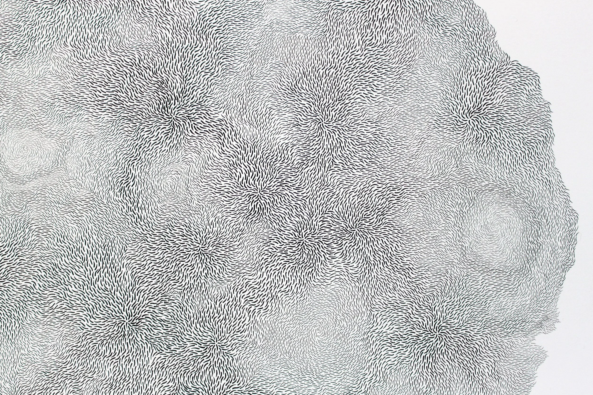 sarah m.n. applebaum