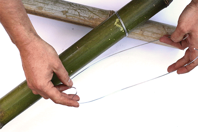 Bamboo Connections — Cave Urban