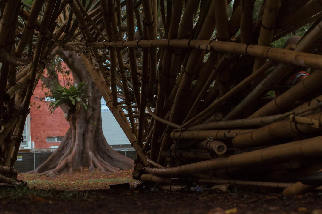 Spectrum — Cave Urban