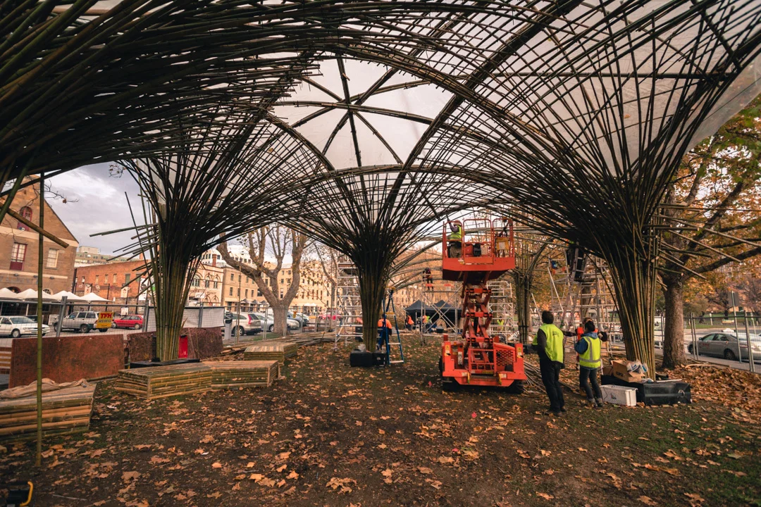 Hot House, Dark MOFO — Cave Urban