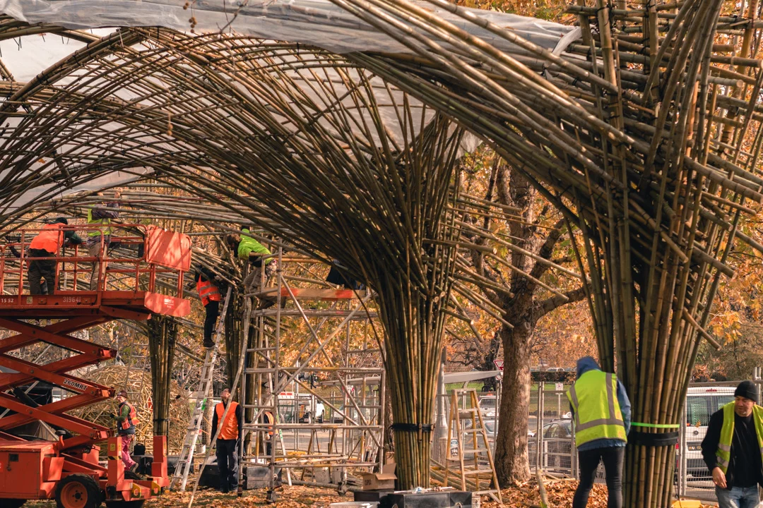 Hot House, Dark MOFO — Cave Urban
