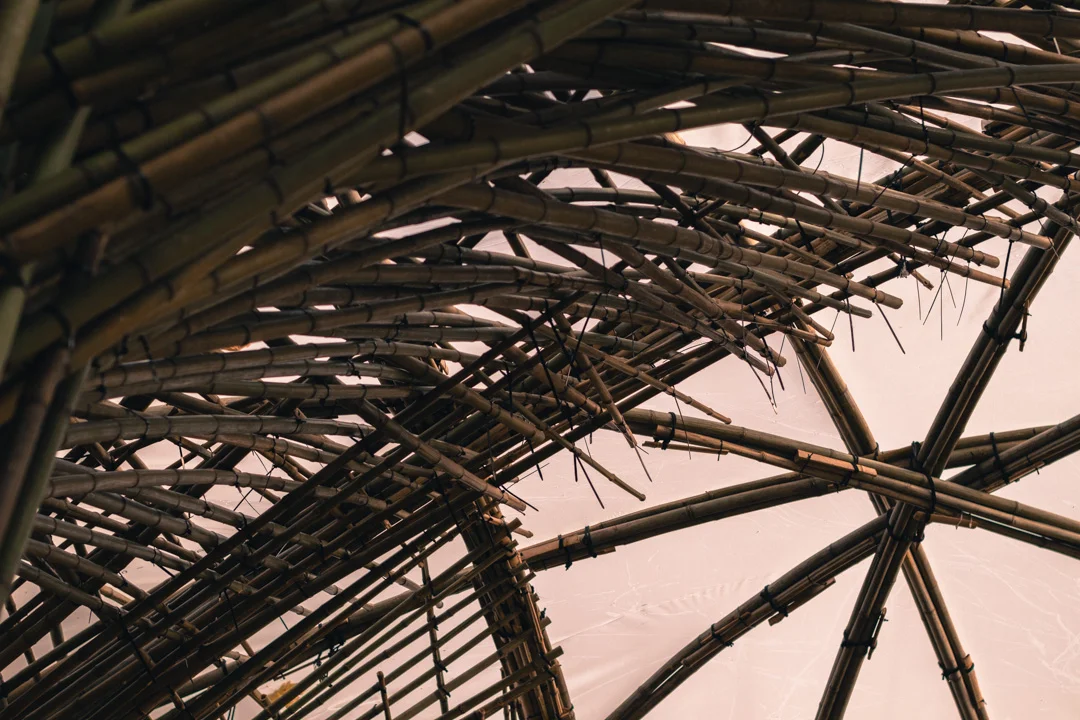 Hot House, Dark MOFO — Cave Urban