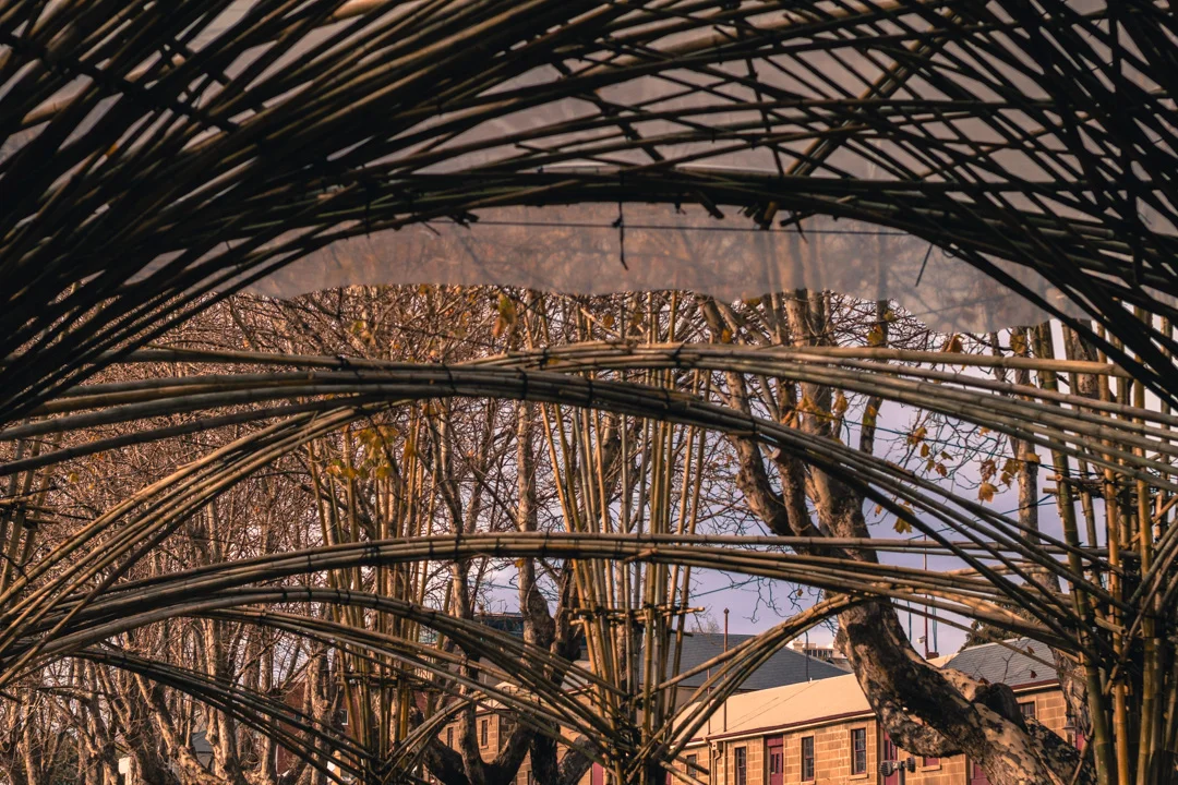 Hot House, Dark MOFO — Cave Urban