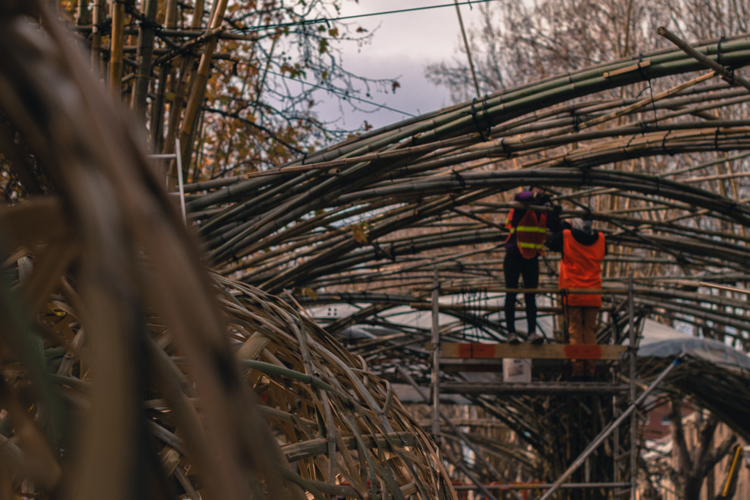 Hot House, Dark MOFO — Cave Urban