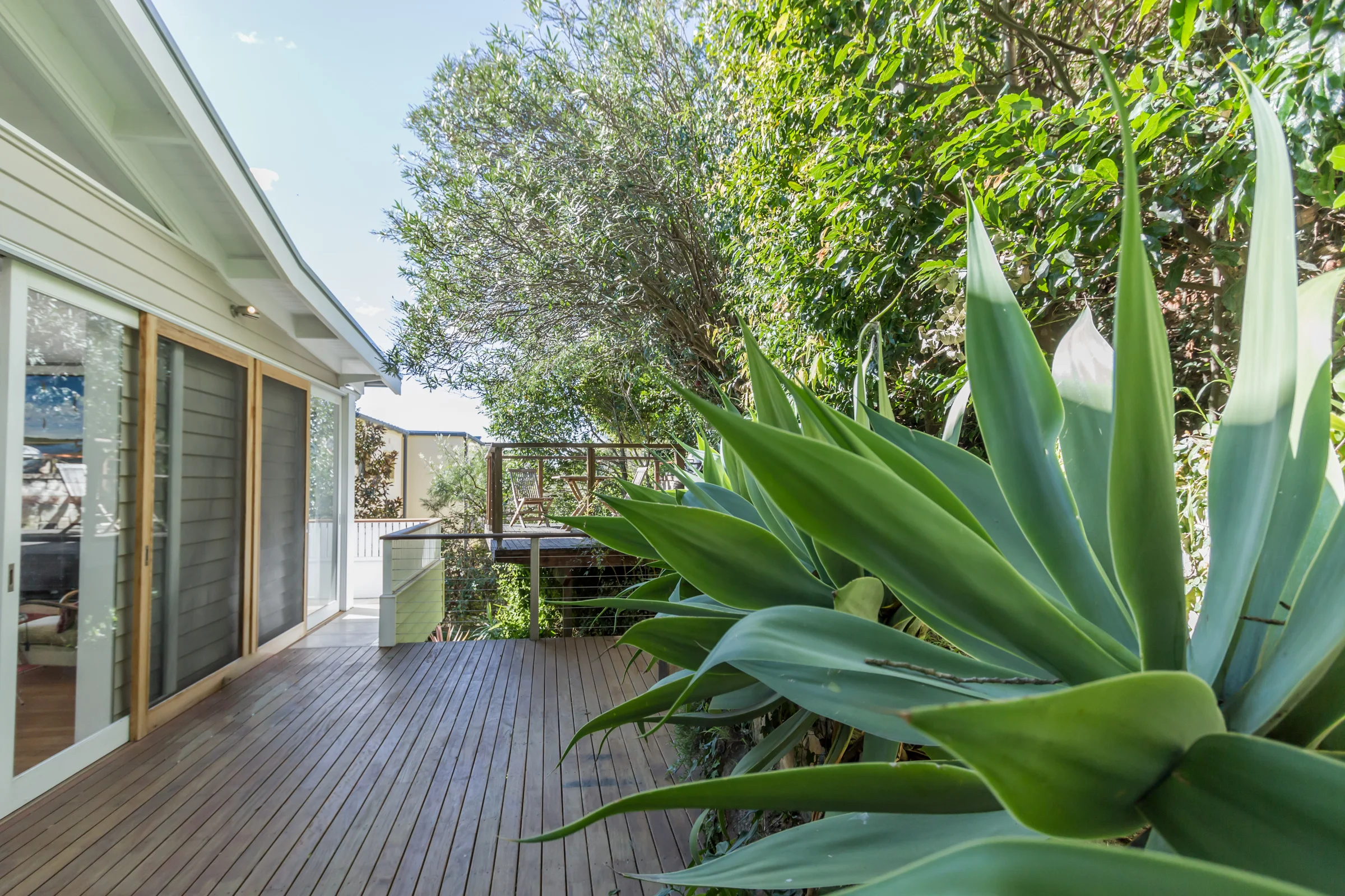 Watsons Bay — Cave Urban