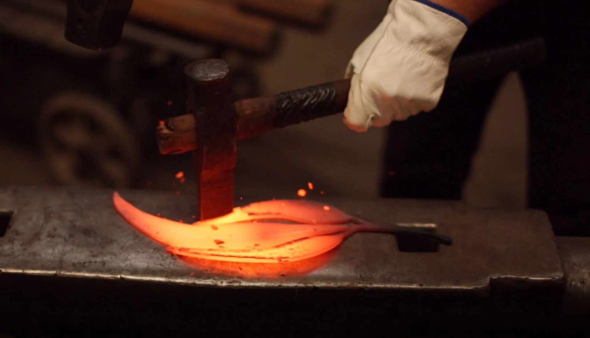 Eveleigh Treehouse — Cave Urban