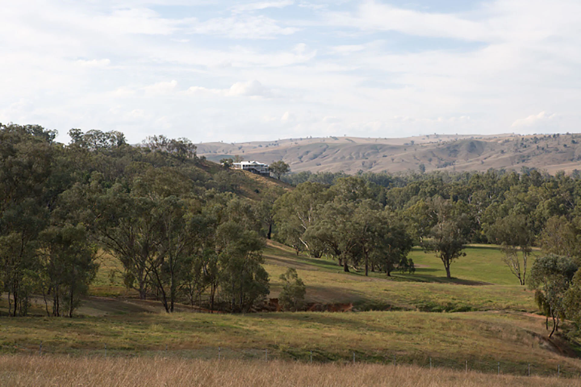 Wagga-Wagga — Cave Urban