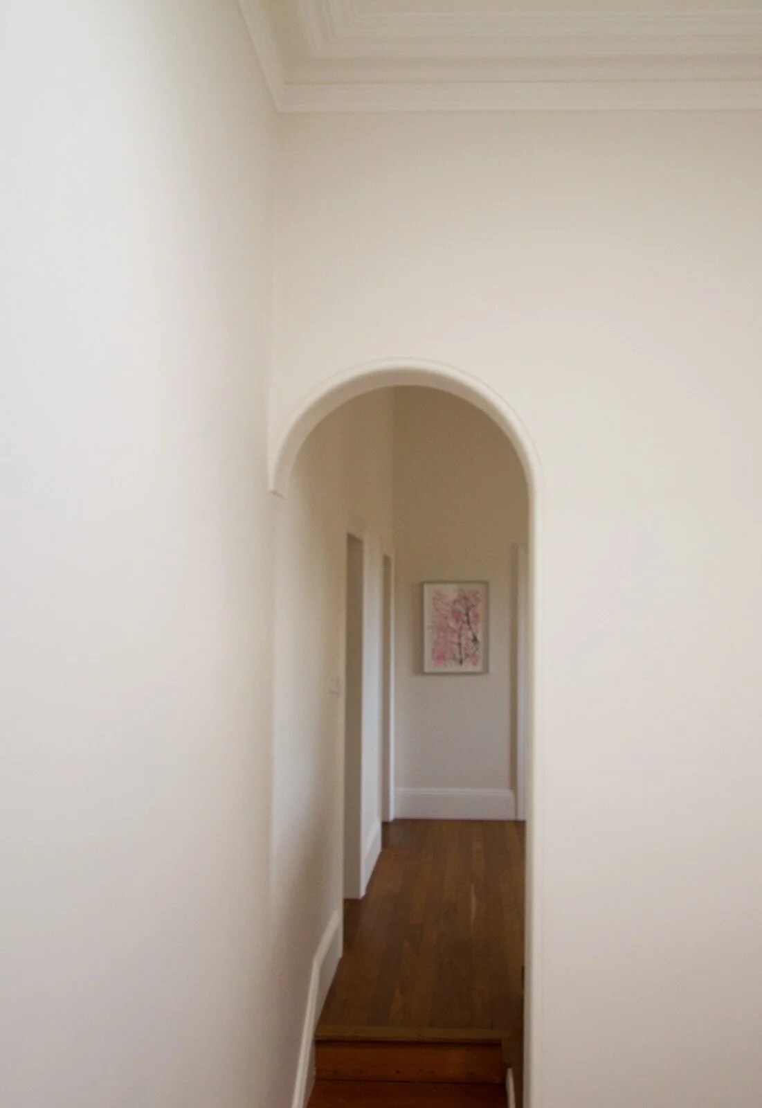 Darlinghurst — Cave Urban