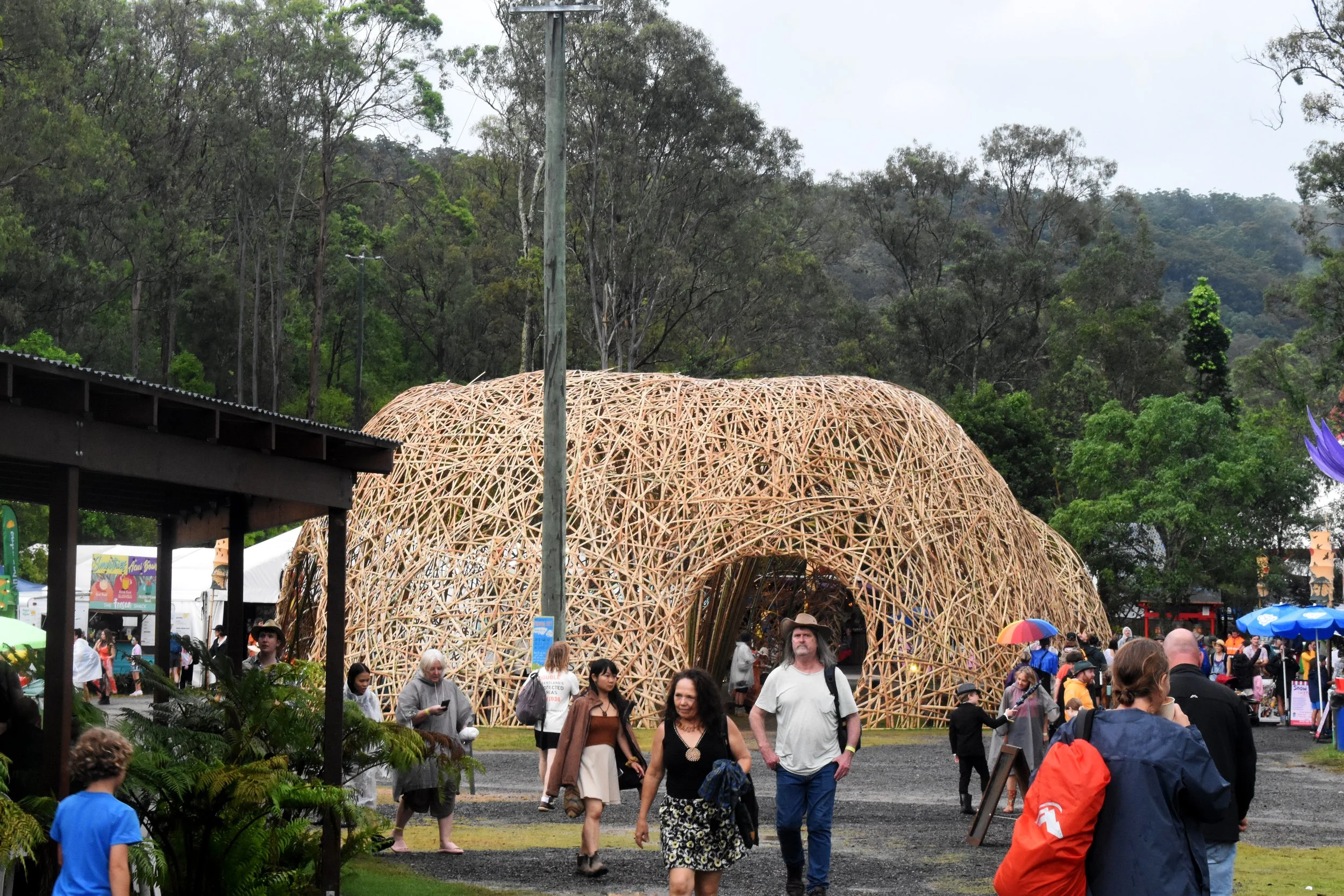 Chrysalis — Cave Urban