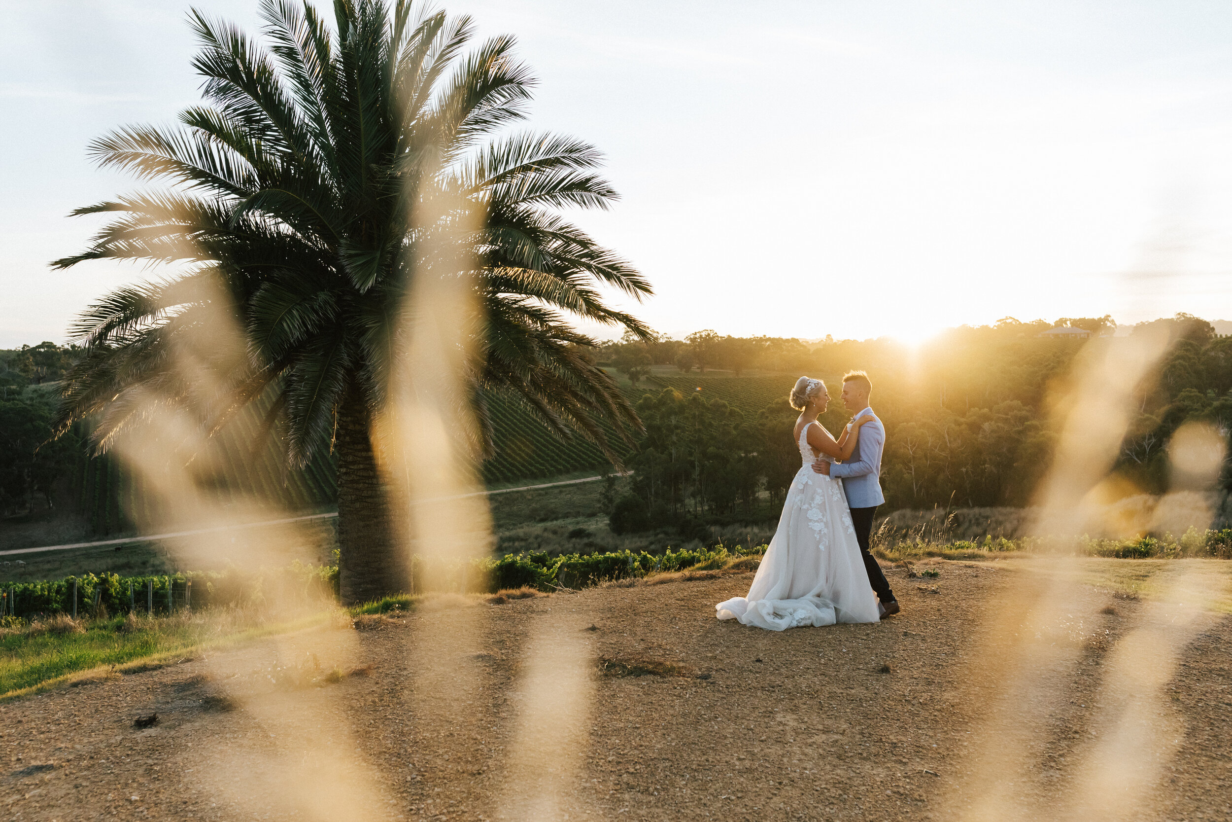 Dan & Caity's Longview Winery Wedding | Little Car Photography ...