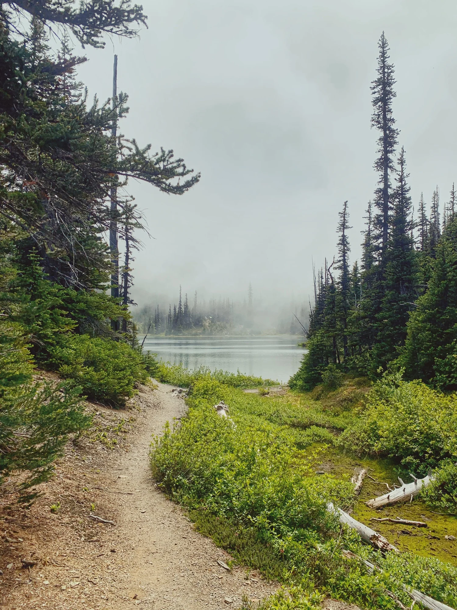 Cynthia & Tex: PNW Hiking and Outdoor Adventures — Hike to Royal Basin ...