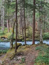 Cynthia & Tex: PNW Hiking and Outdoor Adventures — Hike to Royal Basin ...