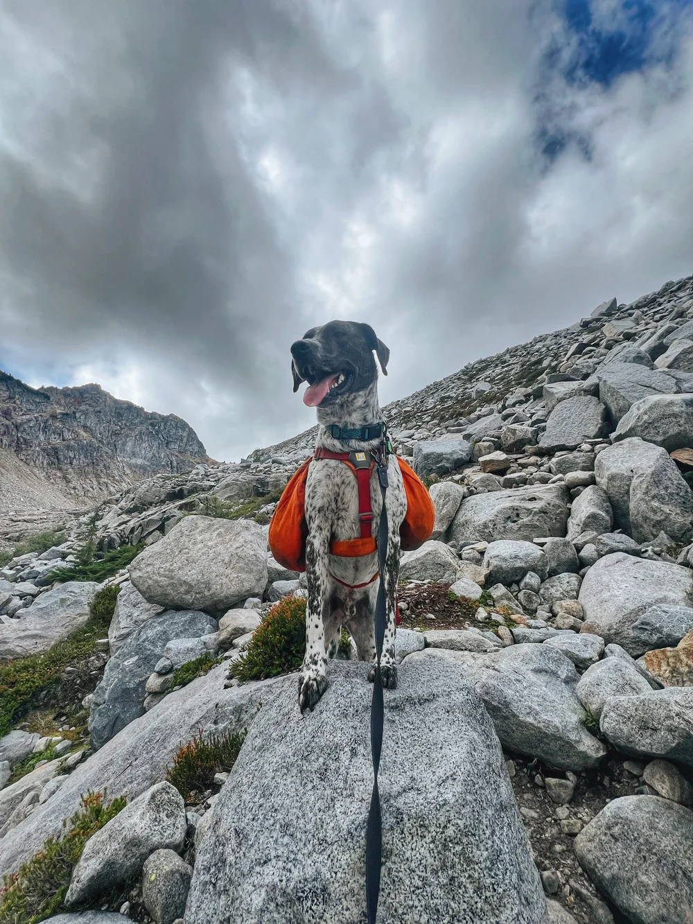 Cynthia & Tex: PNW Hiking and Outdoor Adventures — Backpacking to East ...