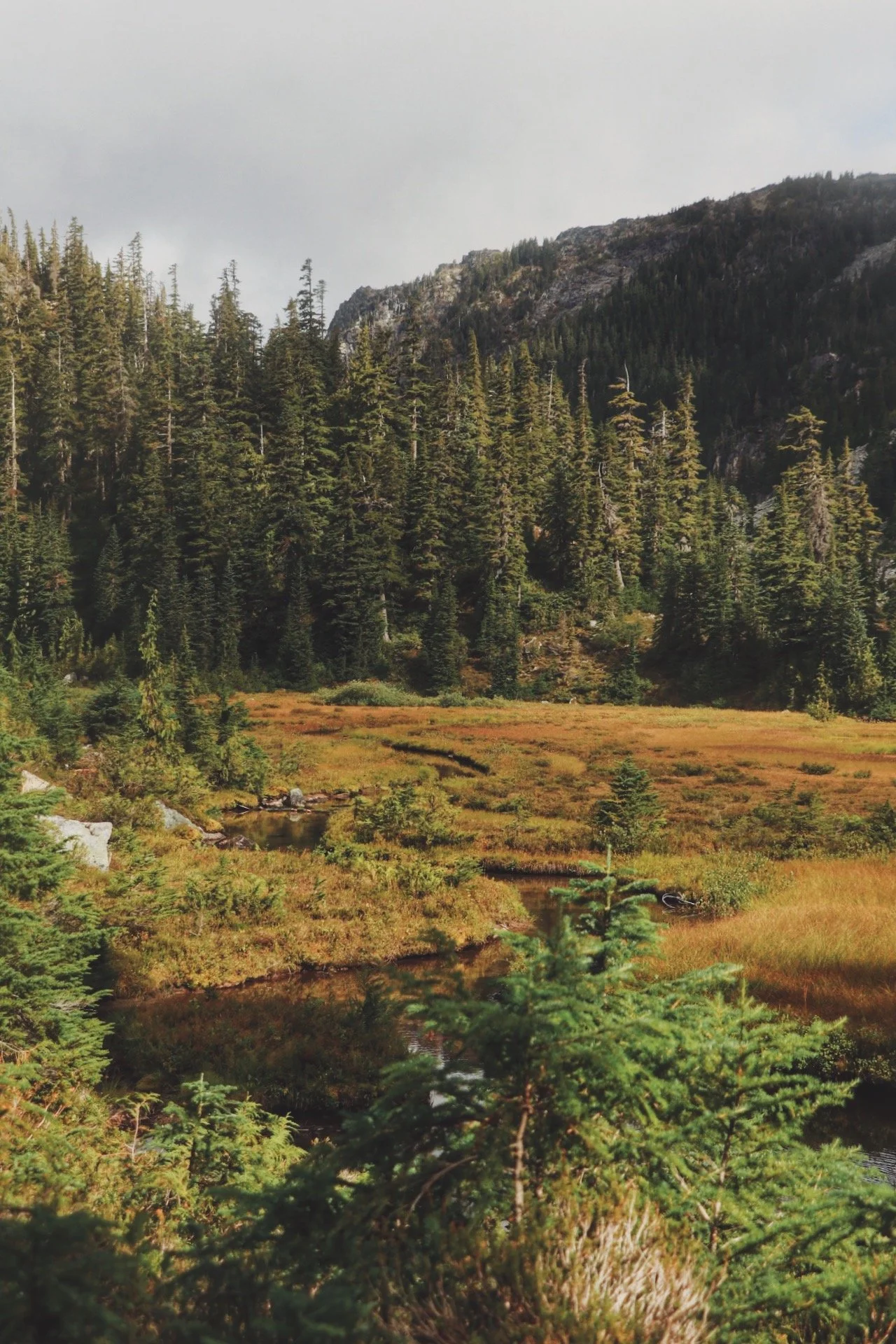 Backpacking to East Fork Foss - Necklace Valley and Tank Lakes: A ...