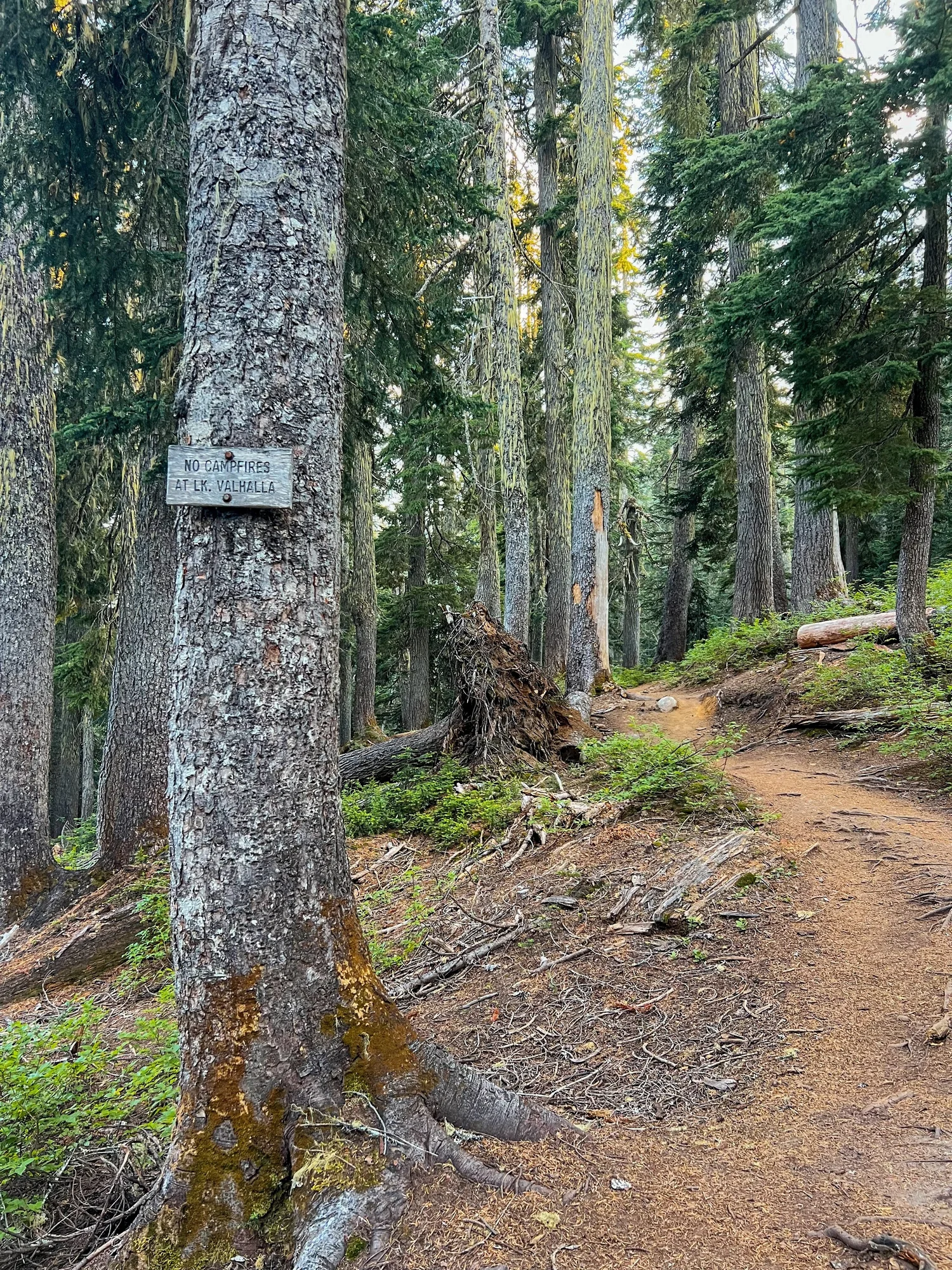 Cynthia & Tex: PNW Hiking and Outdoor Adventures — Hiking Lake Valhalla ...