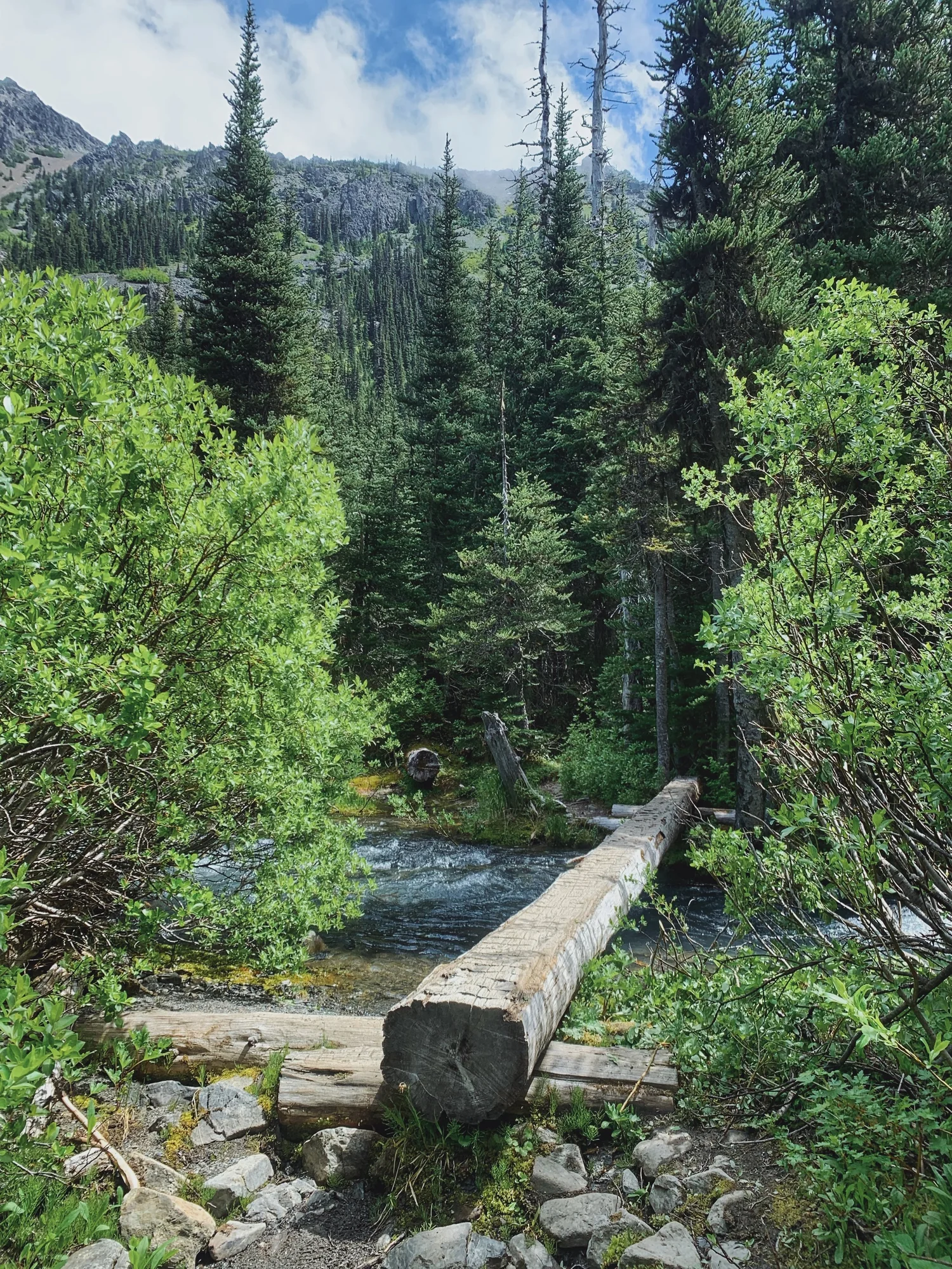 Cynthia & Tex: PNW Hiking and Outdoor Adventures — Hike to Royal Basin ...