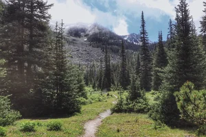 Cynthia & Tex: PNW Hiking and Outdoor Adventures — Hike to Royal Basin ...