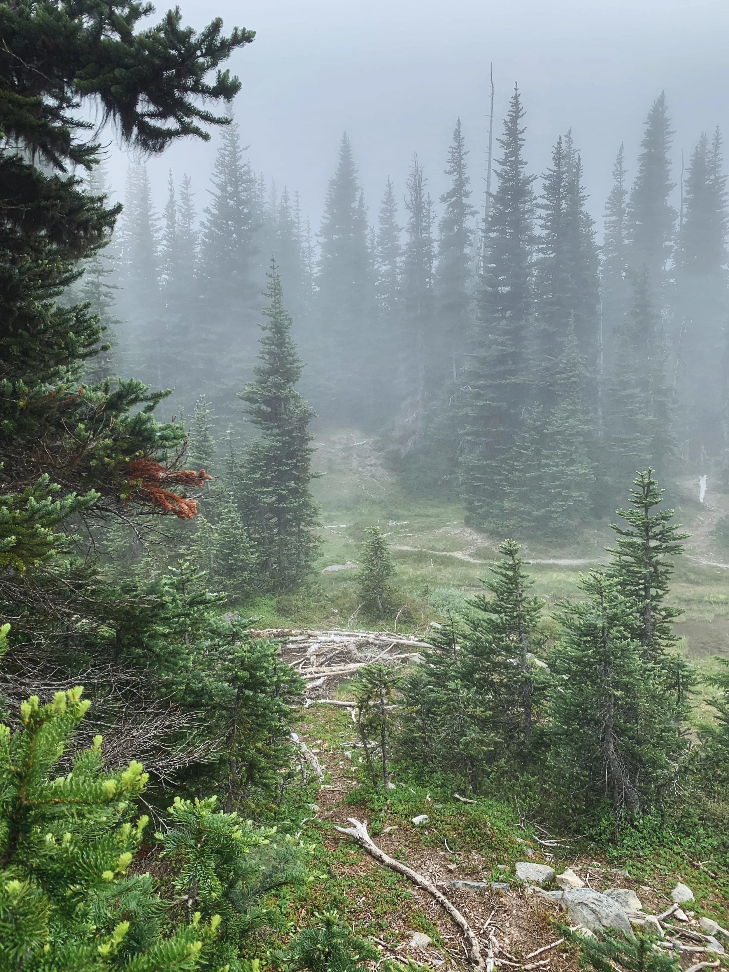 Cynthia & Tex: PNW Hiking and Outdoor Adventures — Hike to Royal Basin ...