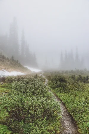 Cynthia & Tex: PNW Hiking and Outdoor Adventures — Hike to Royal Basin ...