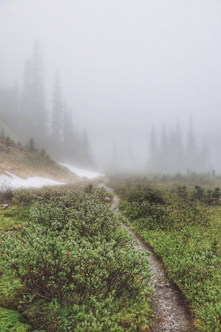 Cynthia & Tex: PNW Hiking and Outdoor Adventures — Hike to Royal Basin ...