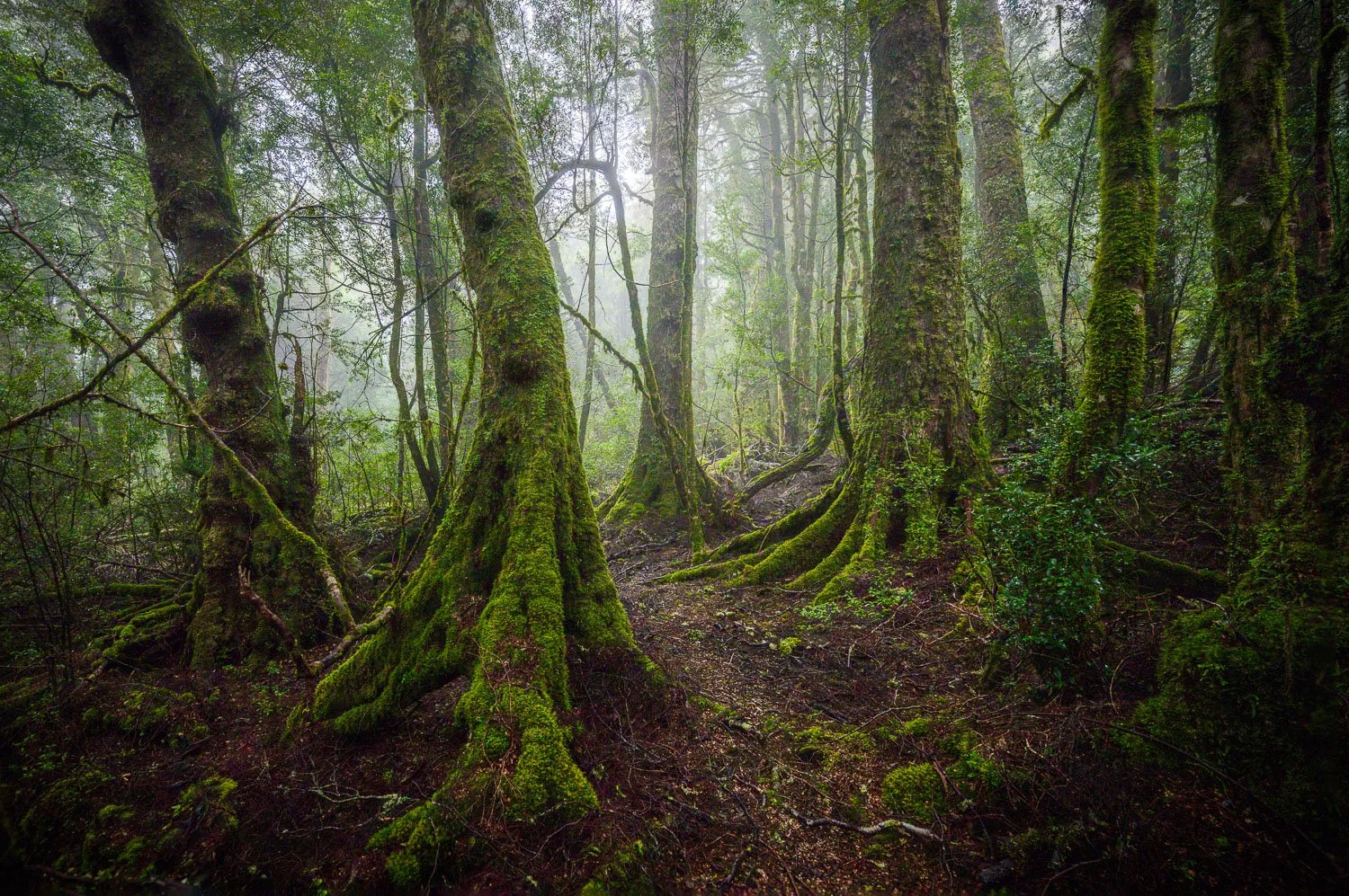 Mount Dundas & Fraser Creek Hut Tasmania — Tasmanian Photographer