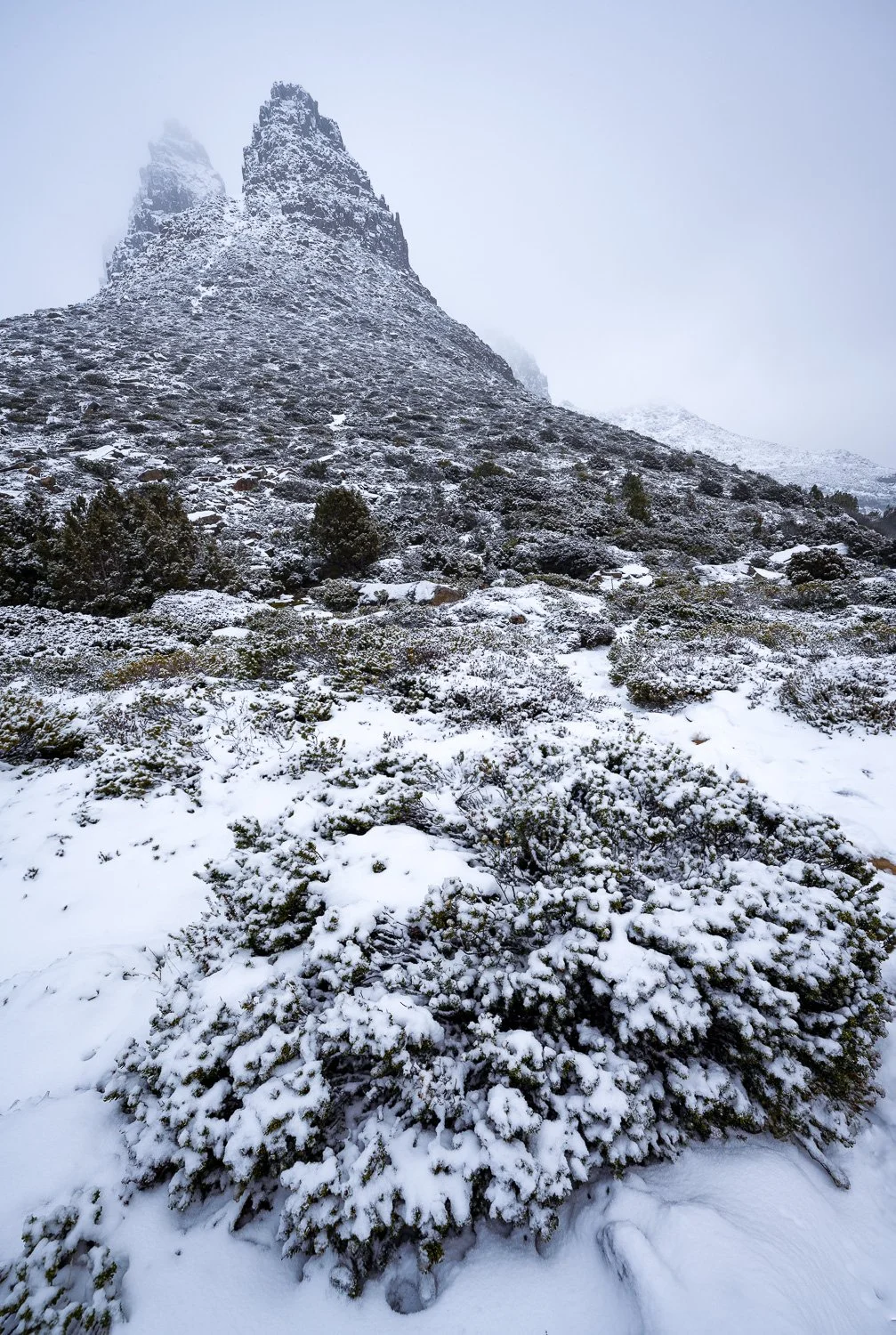 Mt Ossa Tasmania — Tasmanian Photographer
