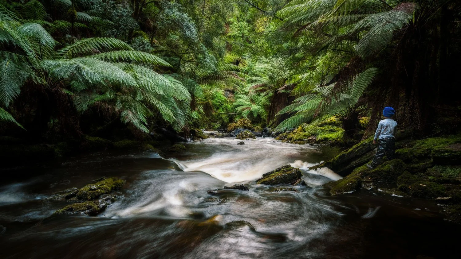 takayna/Tarkine Tasmania — Tasmanian Photographer