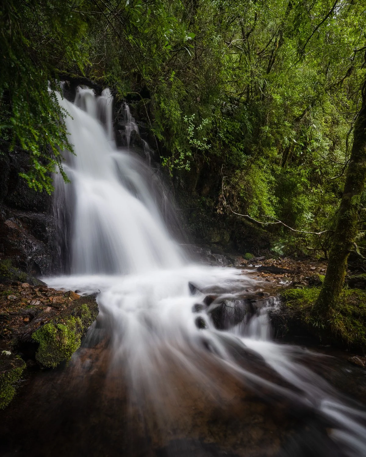 Reynolds Falls — Wilkography