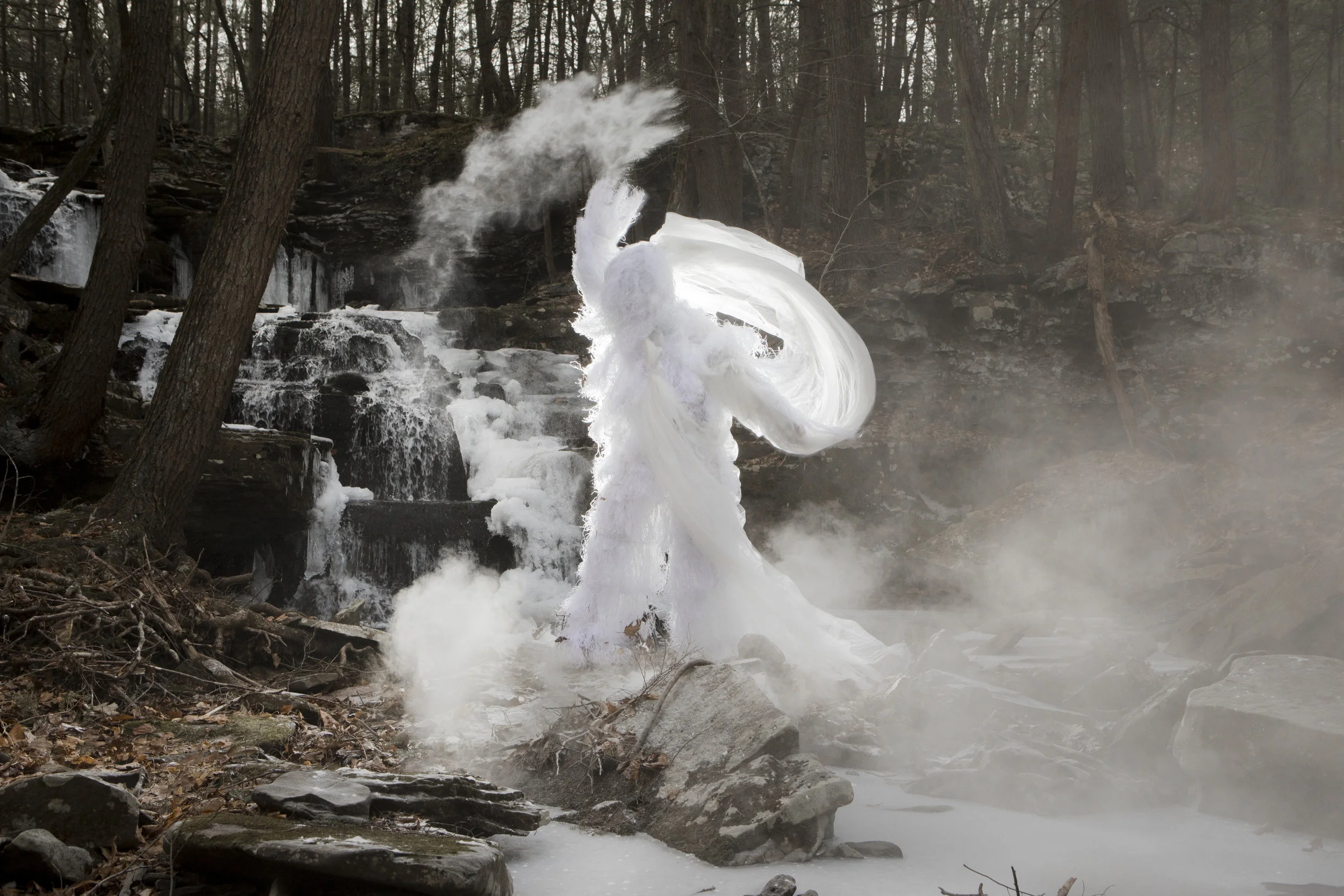 Sara Fox Photography