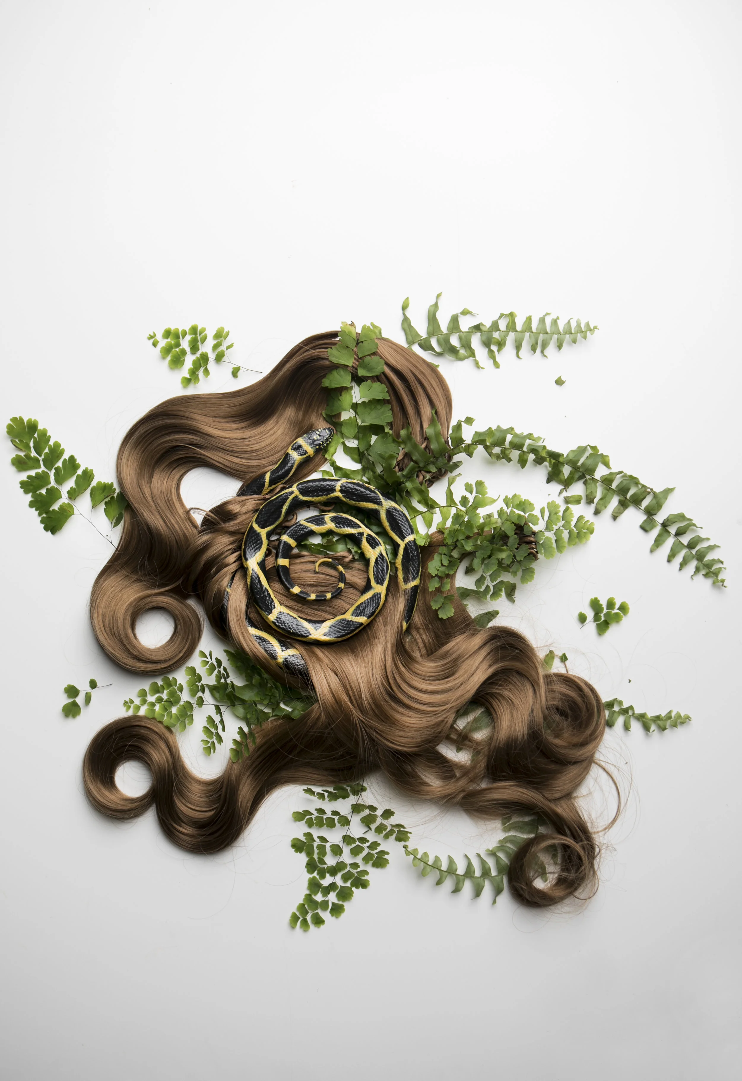 Sara Fox Photography