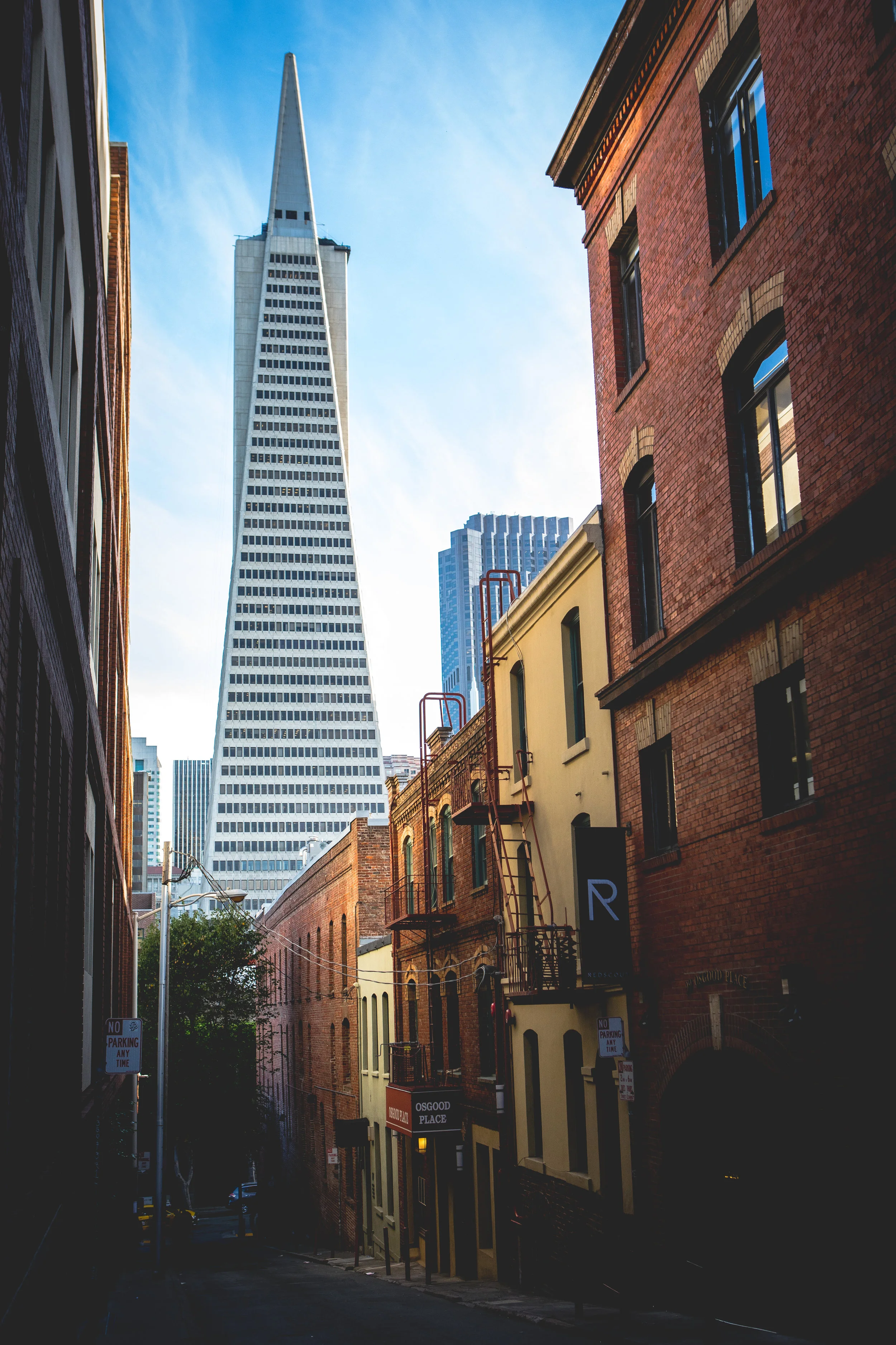 Sara Fox Photography