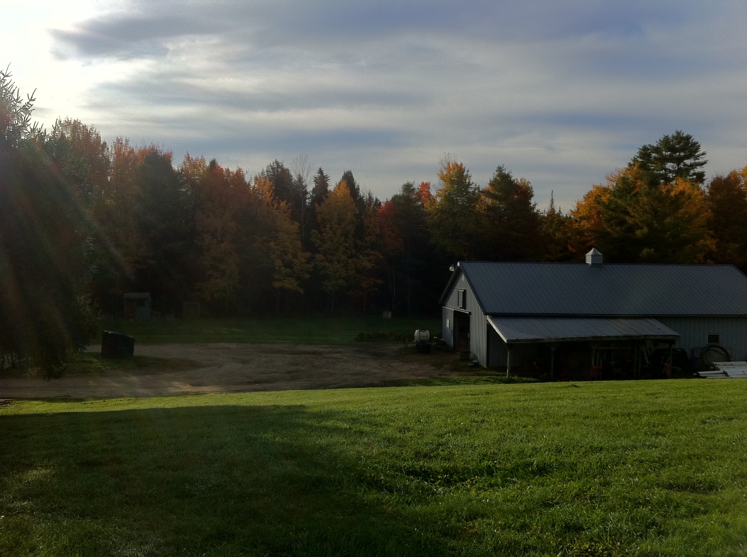 Welcome to the farm — White Birch Farm