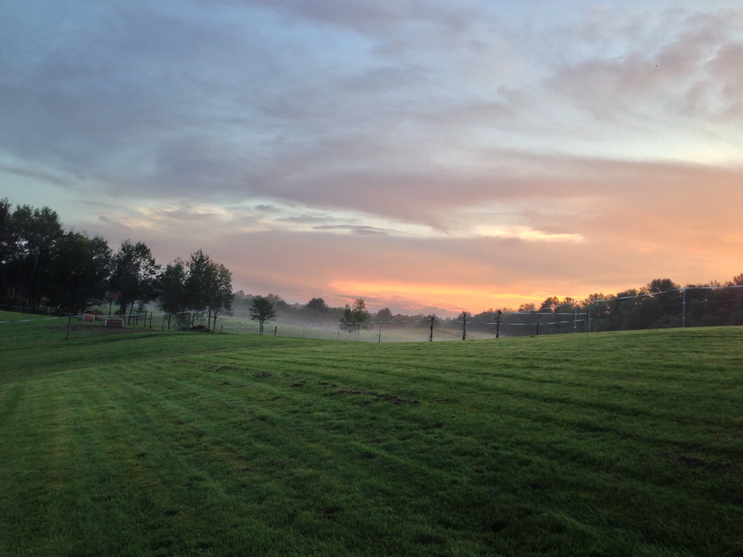 Welcome to the farm — White Birch Farm