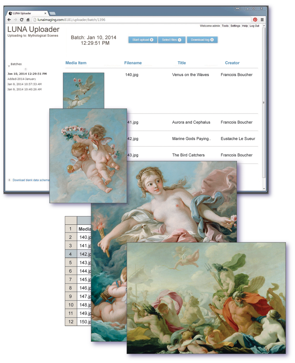Software | Luna Imaging, Inc.