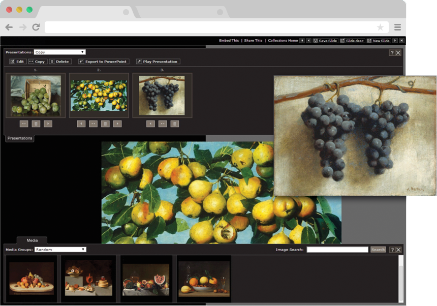 Software | Luna Imaging, Inc.