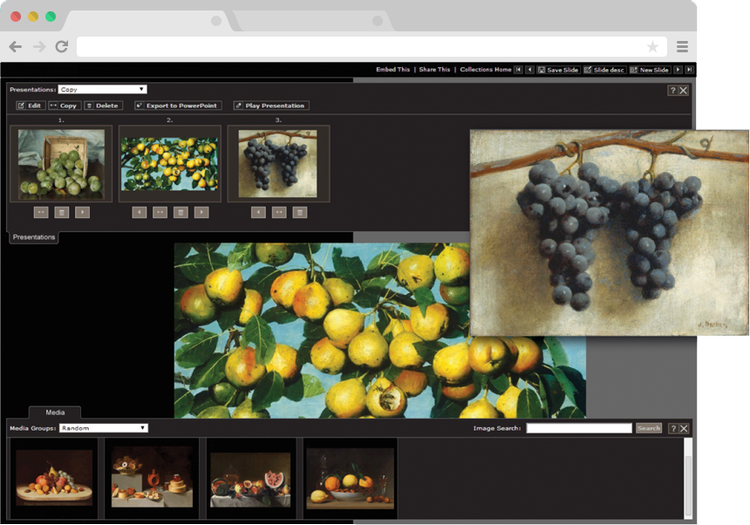 Software | Luna Imaging, Inc.