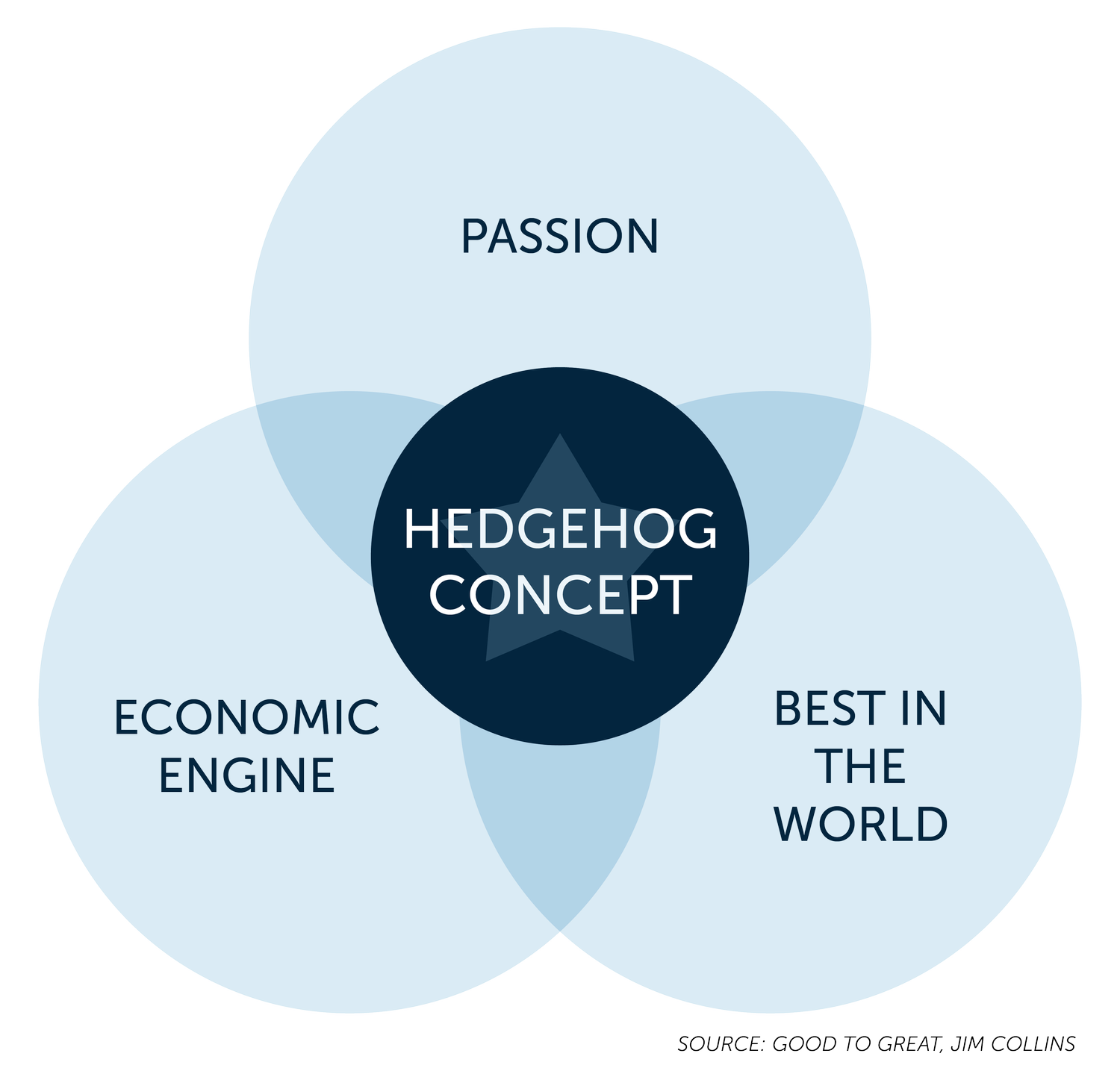 The Hedgehog Concept: Simplifying Strategy for Lasting Impact — PFD Group
