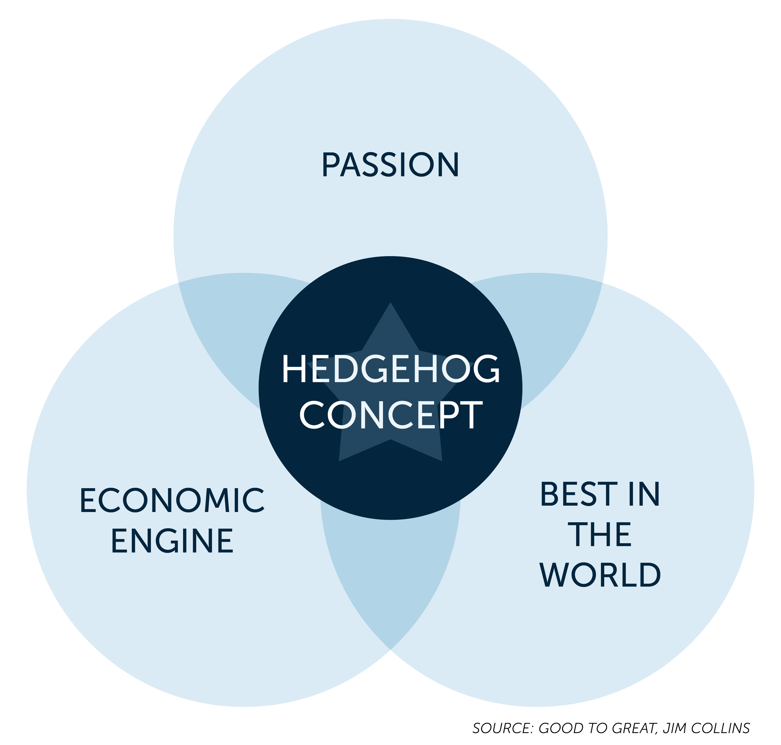 The Hedgehog Concept: Simplifying Strategy for Lasting Impact — PFD Group