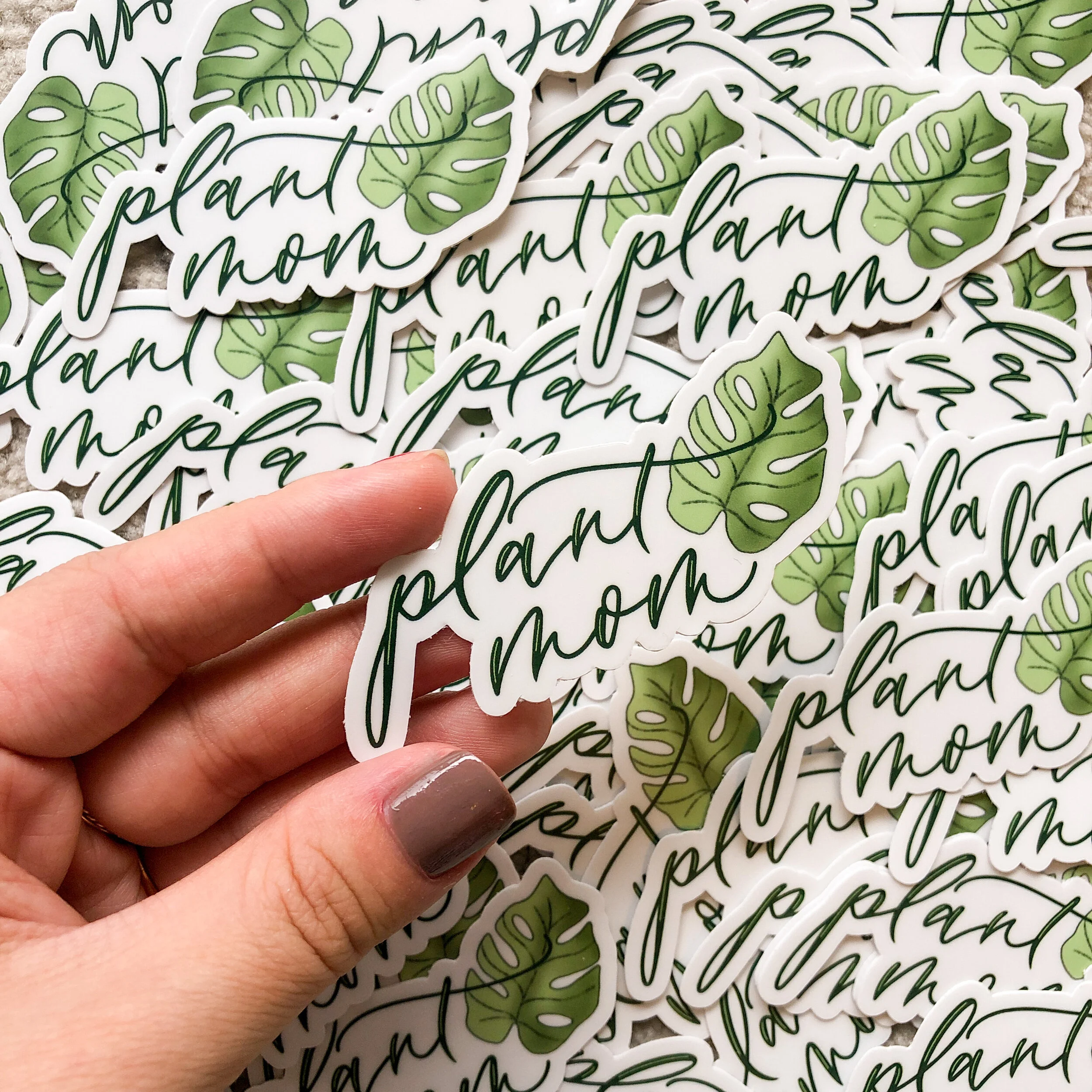 Calligraphy Retail Shop — Brown Fox Calligraphy