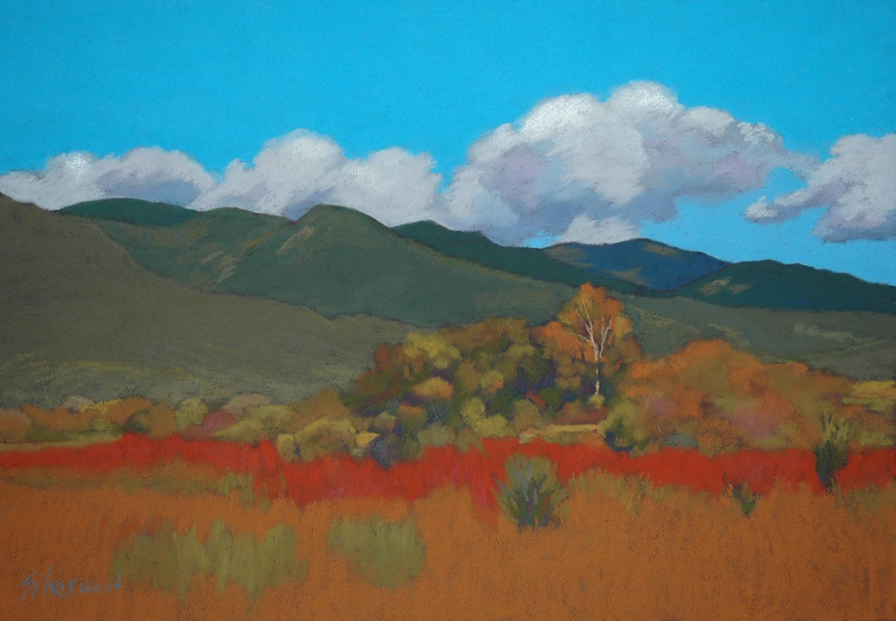 Landscapes of New Mexico — Mary Silverwood