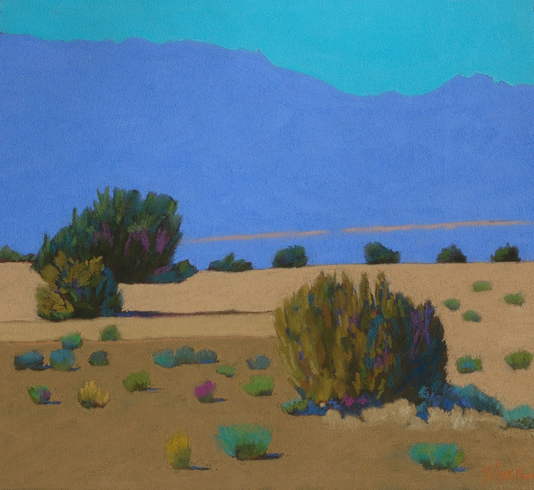 Landscapes of New Mexico — Mary Silverwood