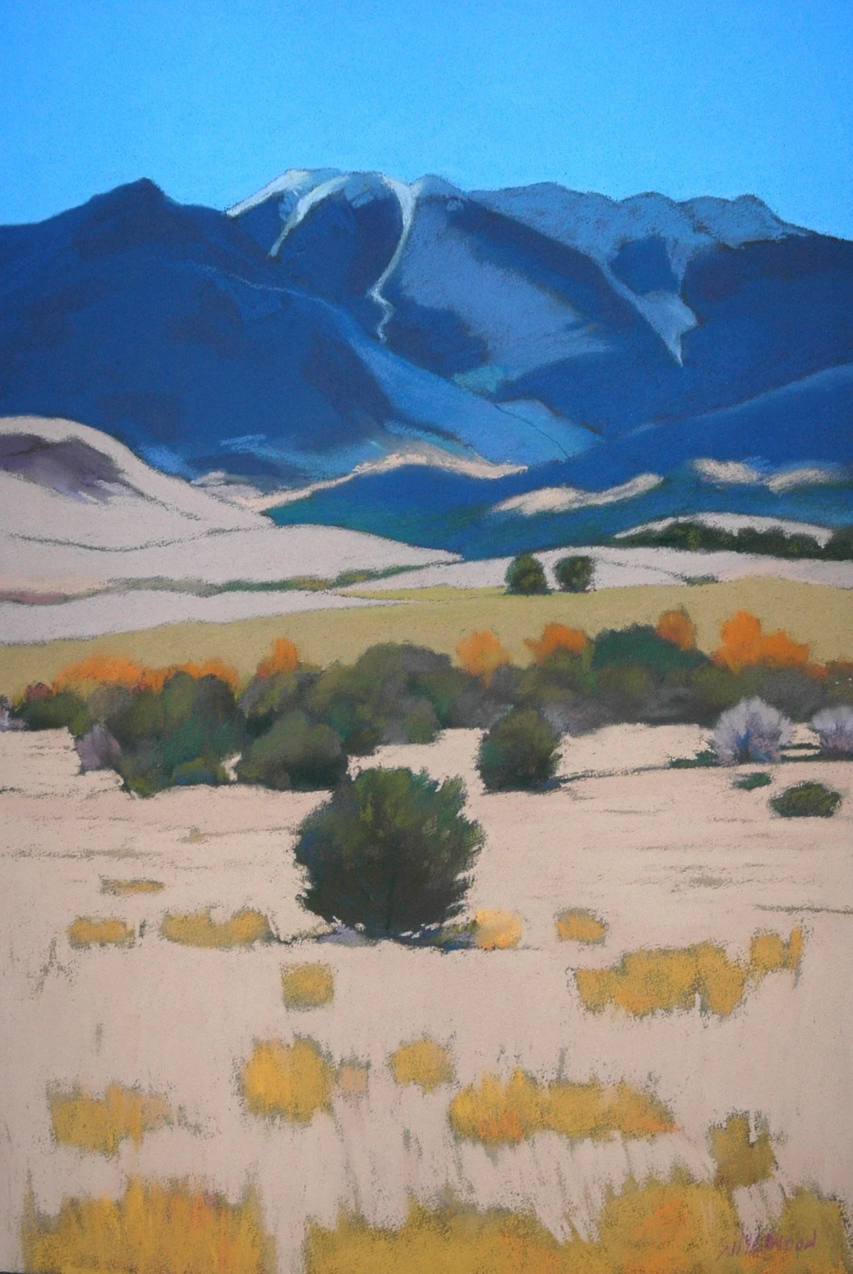 Landscapes of New Mexico — Mary Silverwood
